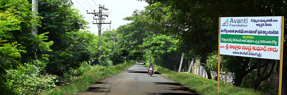 Developing Rural Infrastructure - Avanti Foundation